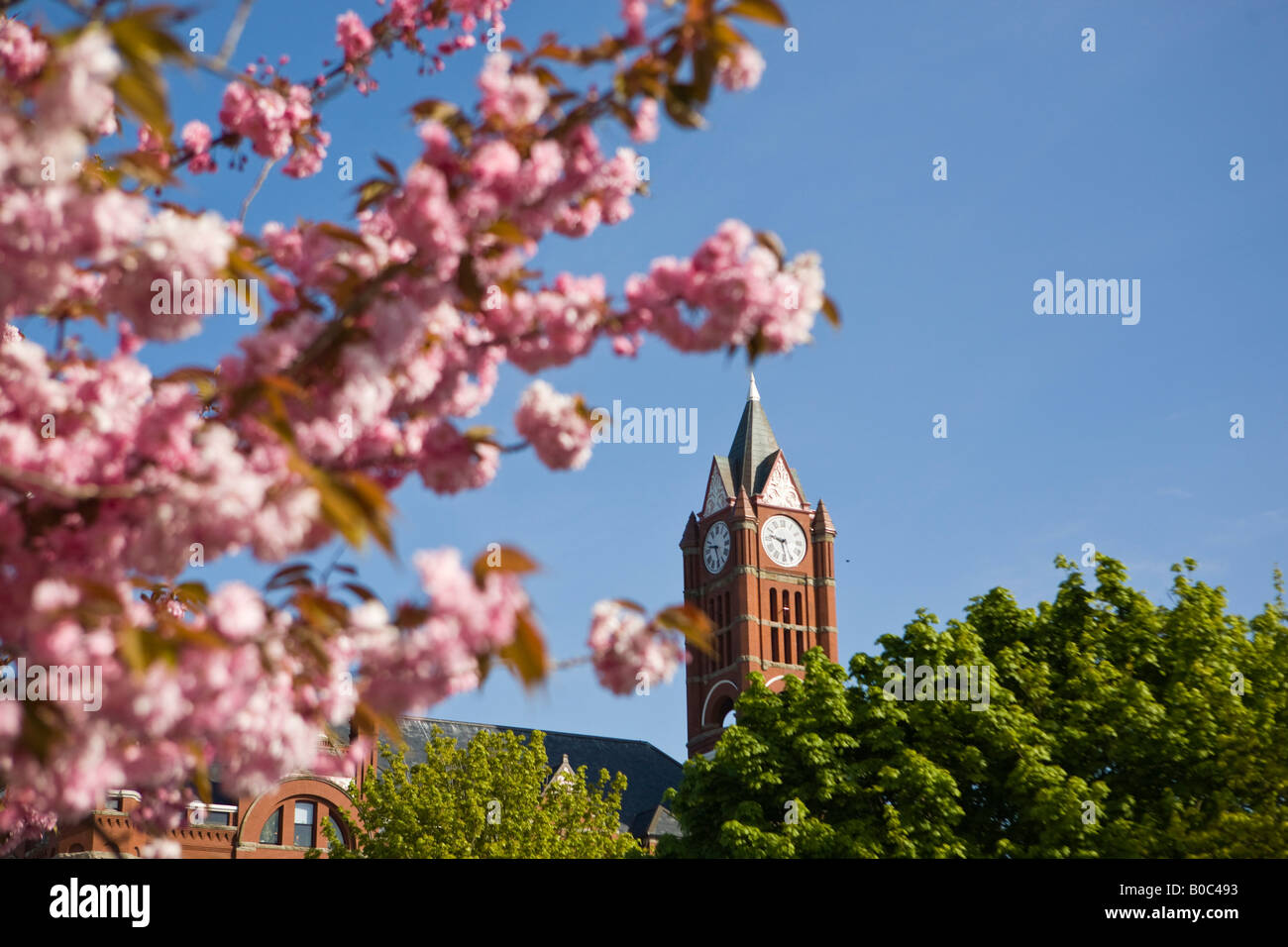Courthouse clock tower in Port Townsend, WA Stock Photo - Alamy