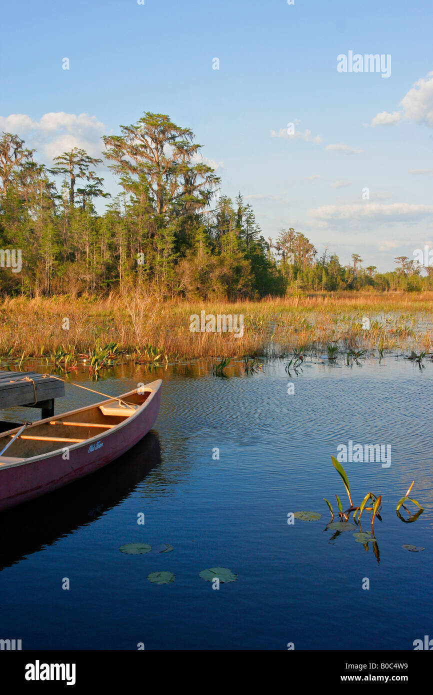 Canoe at camping dock in Okefenokee National Wildlife Refuge swamp ...