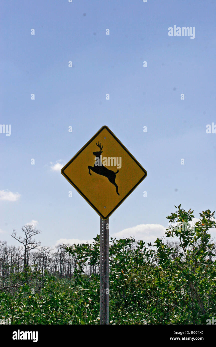 Key Deer sign Stock Photo - Alamy