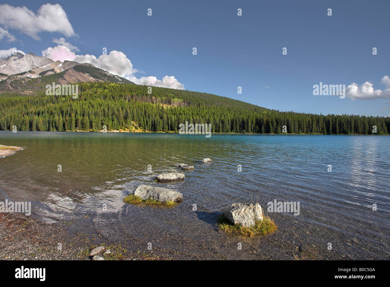 Quiet shallow lake in the north of Canada Stock Photo - Alamy