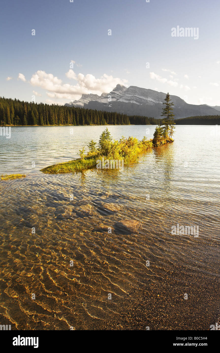 The small tree shined by the sun growing on a shallow of mountain lake ...