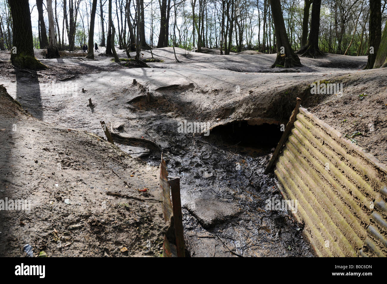 WW1 trenches on Hill 62, Sanctuary Wood, near Ypres, Belgium Stock ...