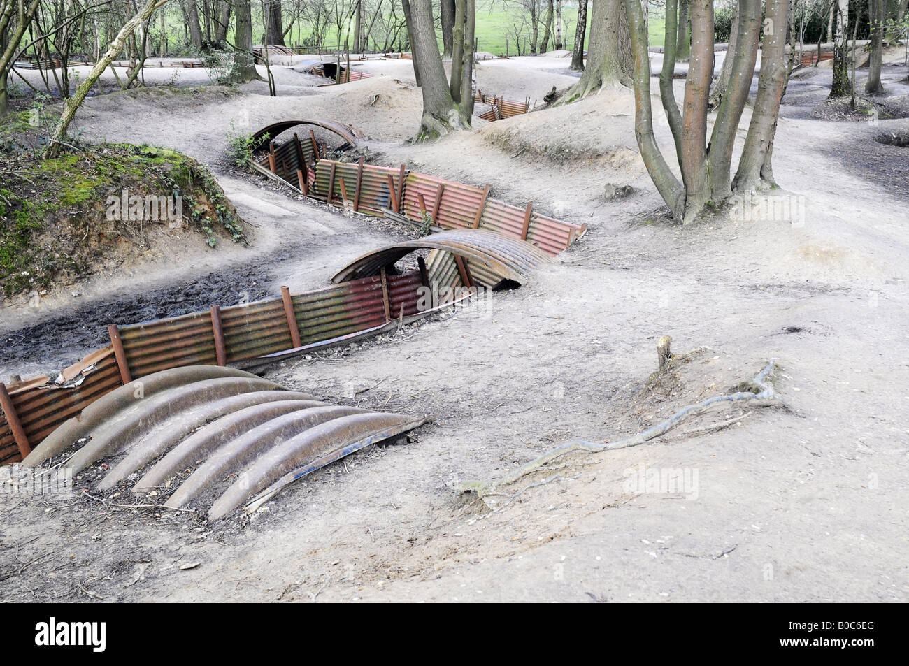 WW1 trenches on Hill 62, Sanctuary Wood, near Ypres, Belgium Stock ...