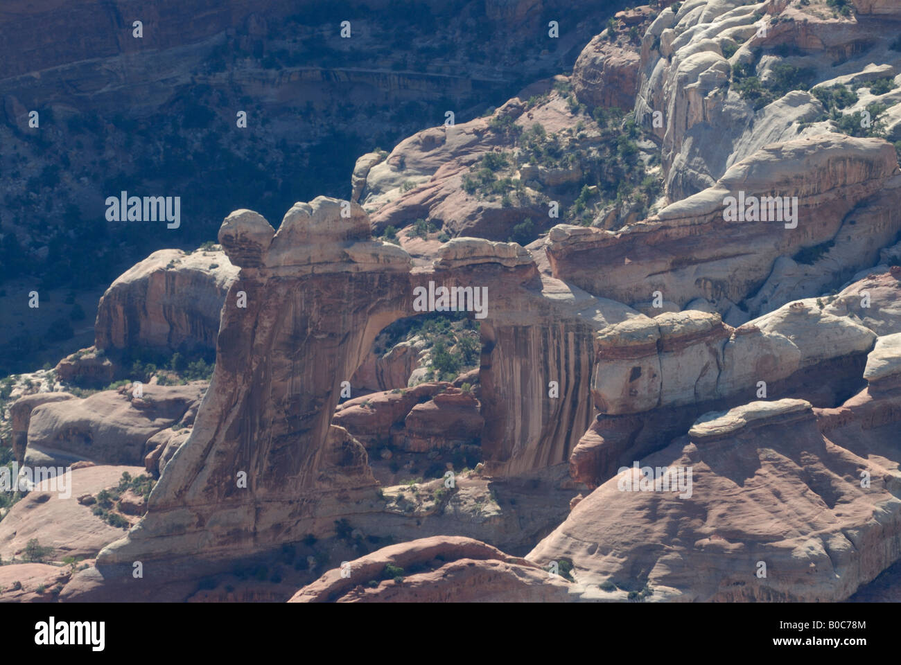 Aerial View of the Needles Canyonlands National Park Utah USA Stock ...