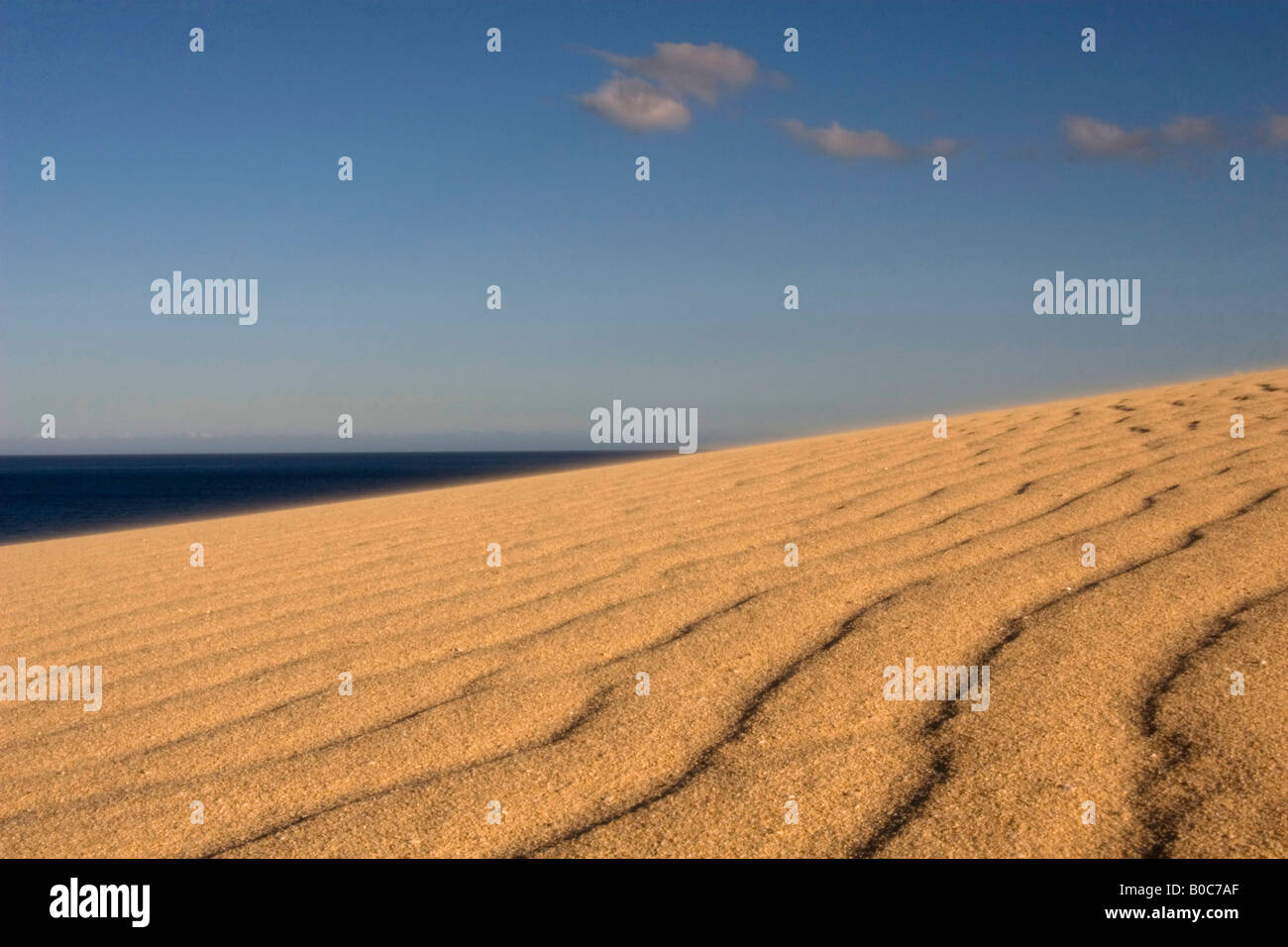Sands Dunes deserts without vegetation Sea of sand Canary Island Stock ...