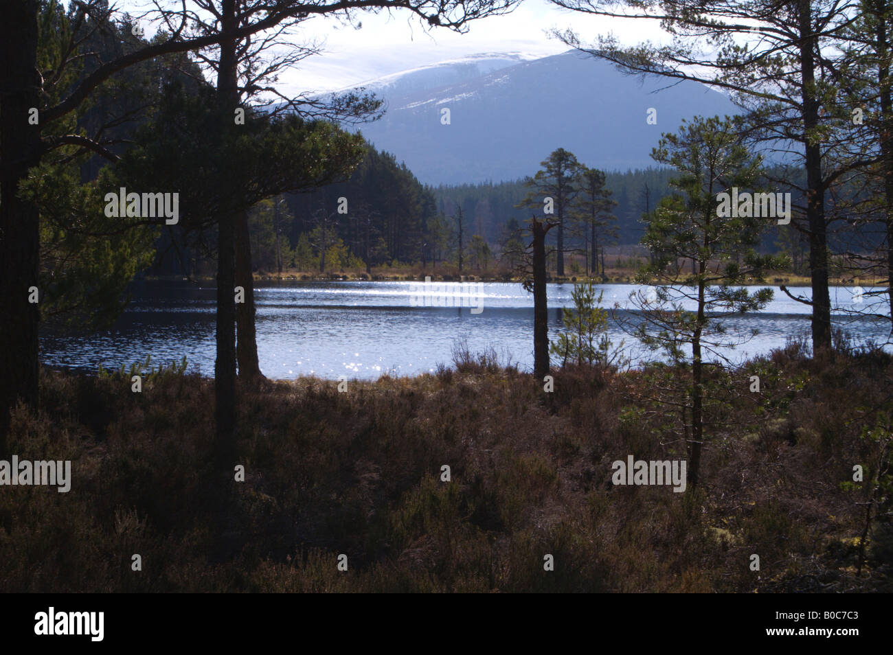 Uath Lochan, a tree-lined Scottish loch (lake) with mountains in the ...