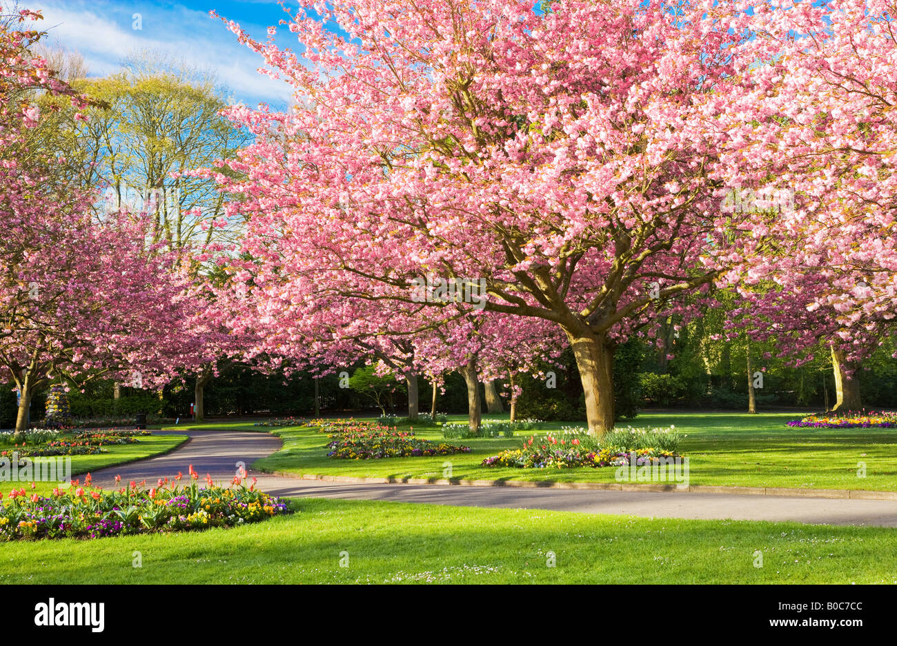 Town gardens swindon hi-res stock photography and images - Alamy