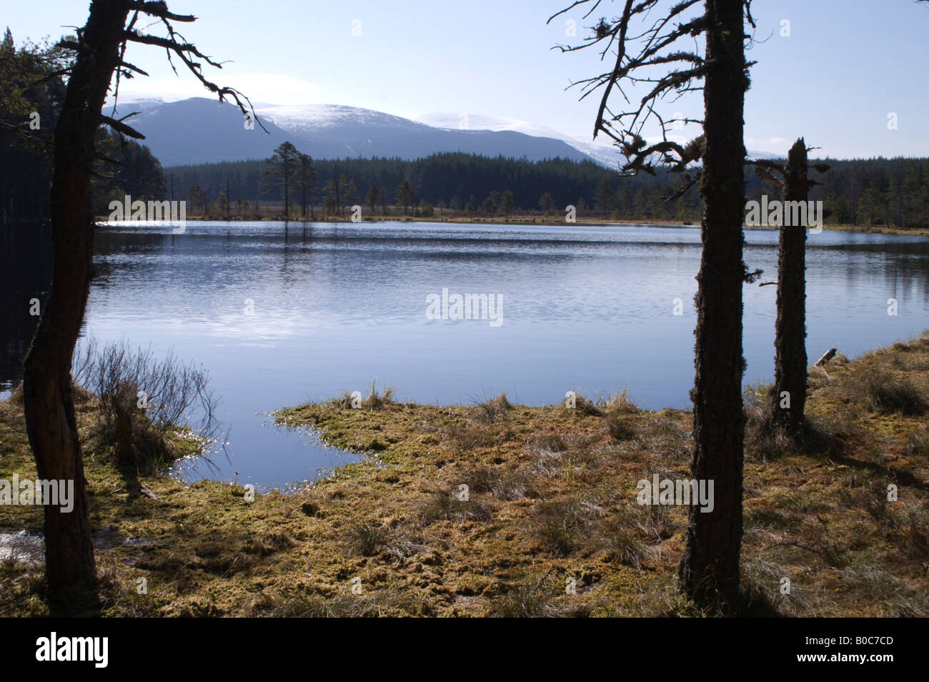 Uath Lochan, a tree-lined Scottish loch (lake) with mountains in the ...