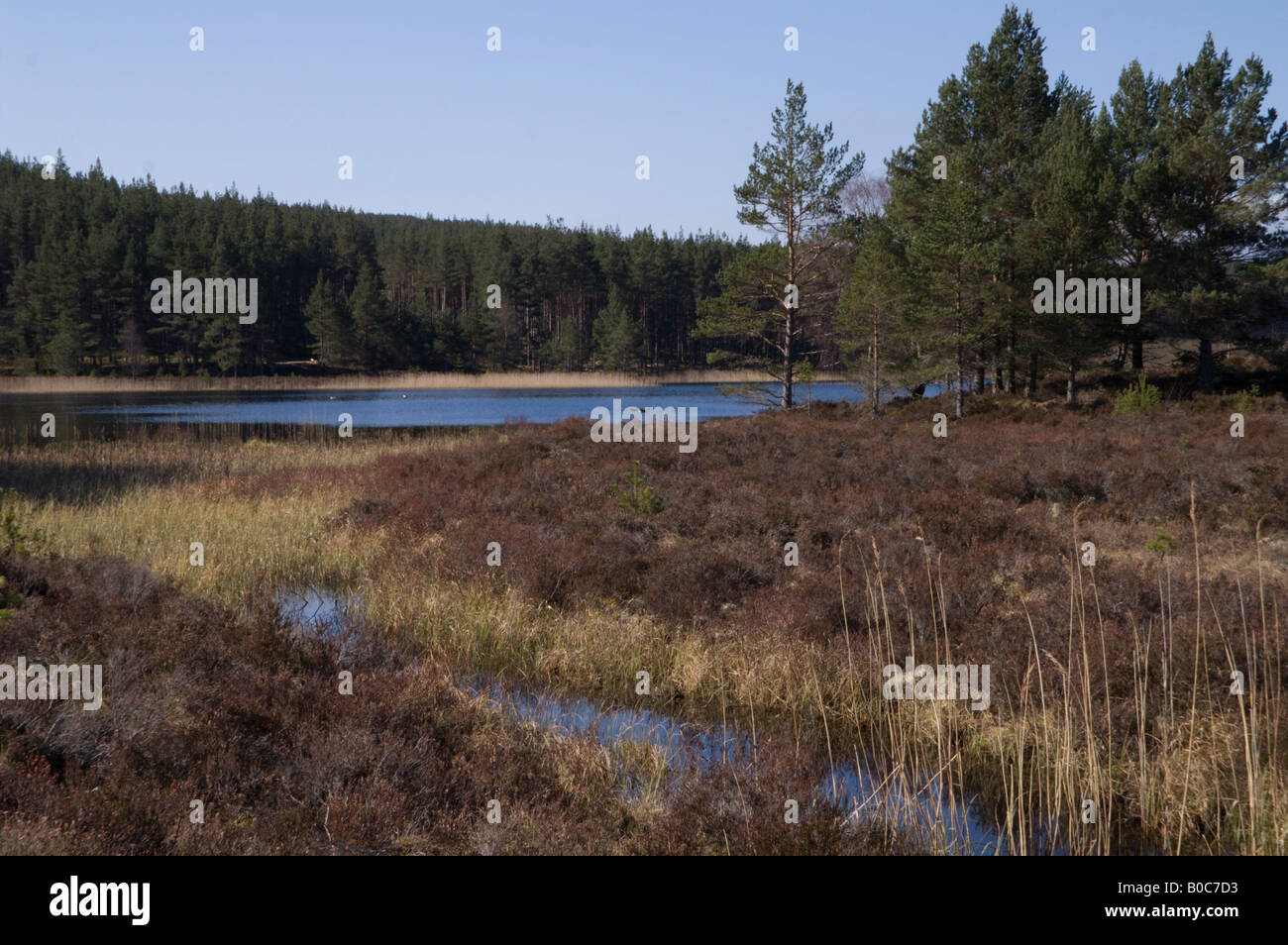 Uath Lochan, a tree-lined Scottish loch (lake Stock Photo - Alamy
