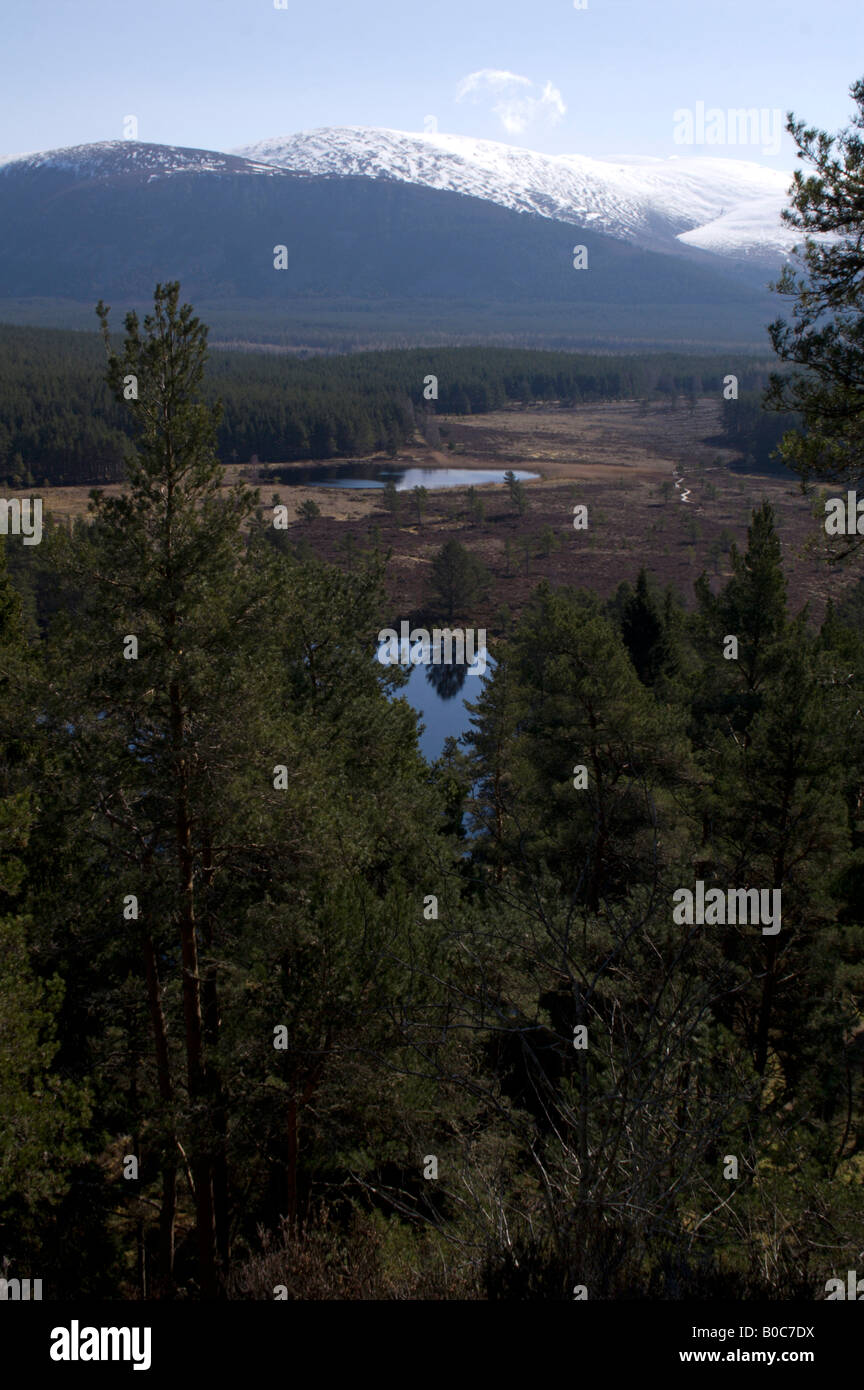 Uath Lochan, a tree-lined Scottish loch (lake) with snow-covered ...
