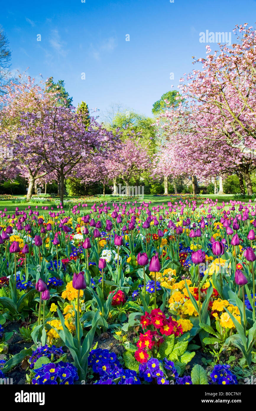 Multi use amenity space hi-res stock photography and images - Alamy