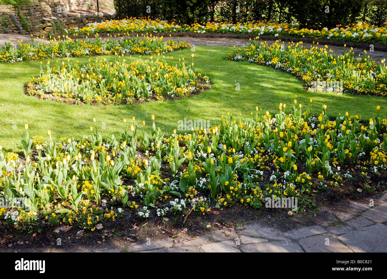 Formal spring flower beds of yellow tulips and pansies in the Town ...