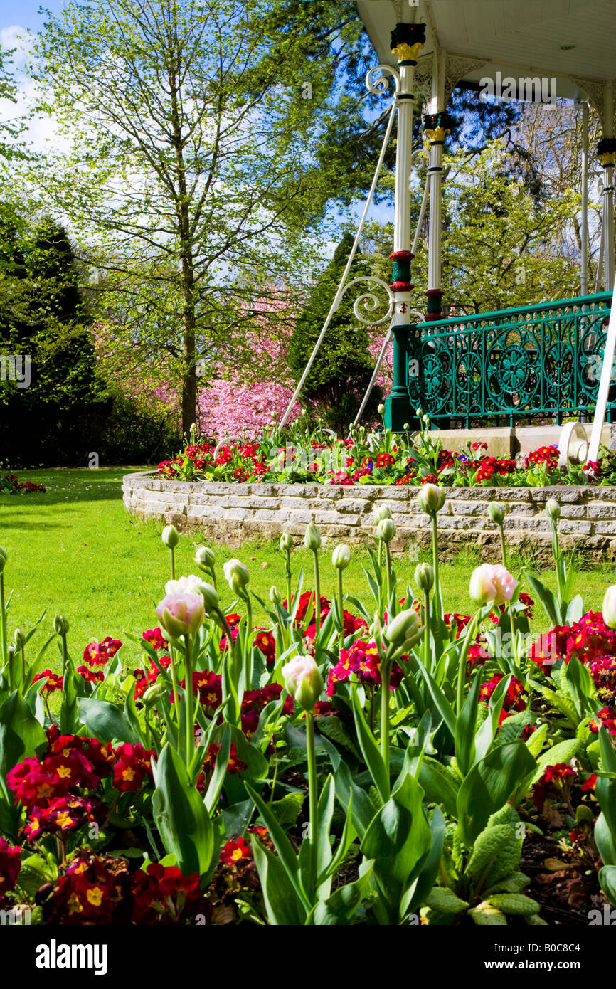 Spring flower beds of tulips and red primulas in front of the Victorian ...