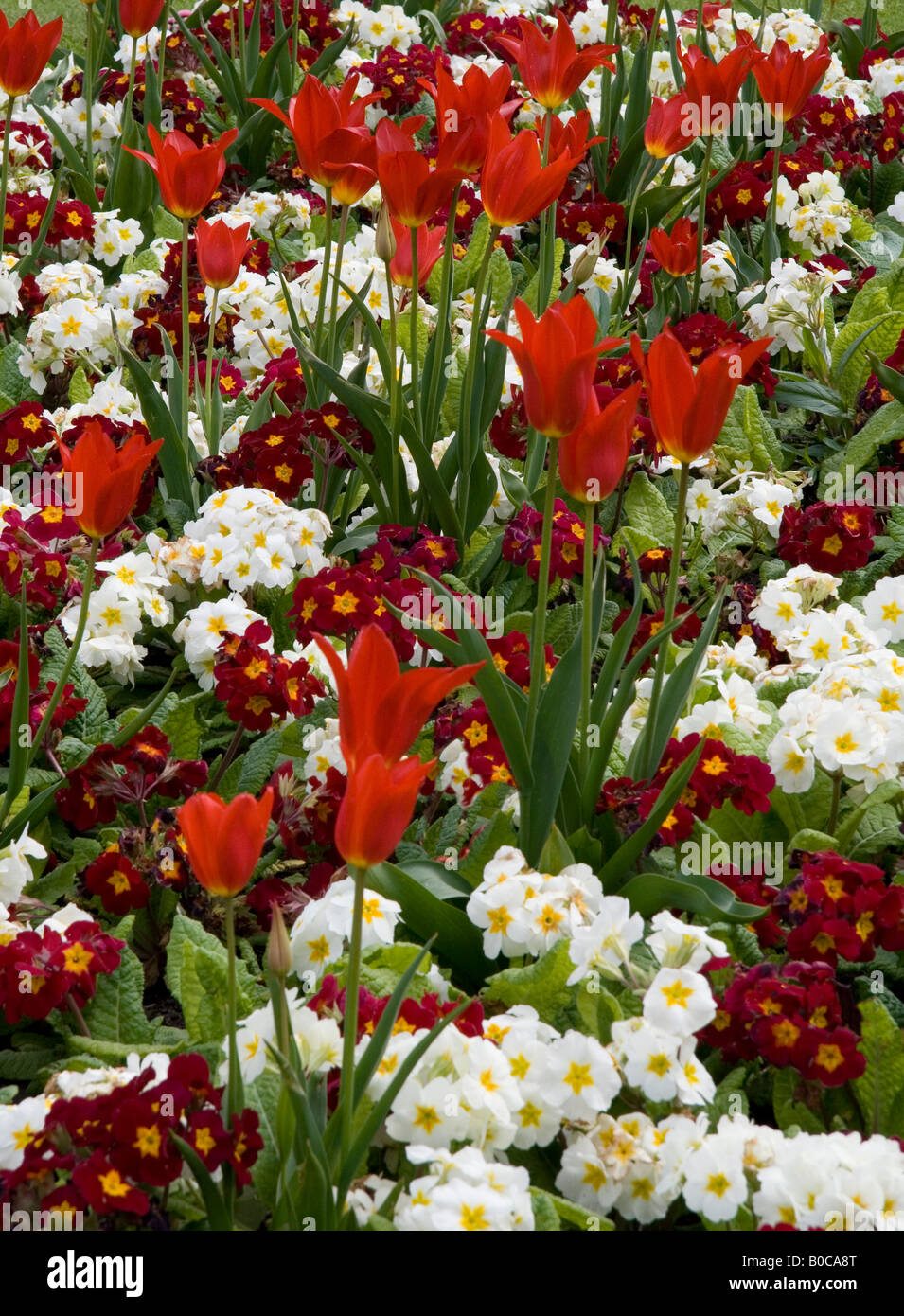Southport botanic gardens hi-res stock photography and images - Alamy