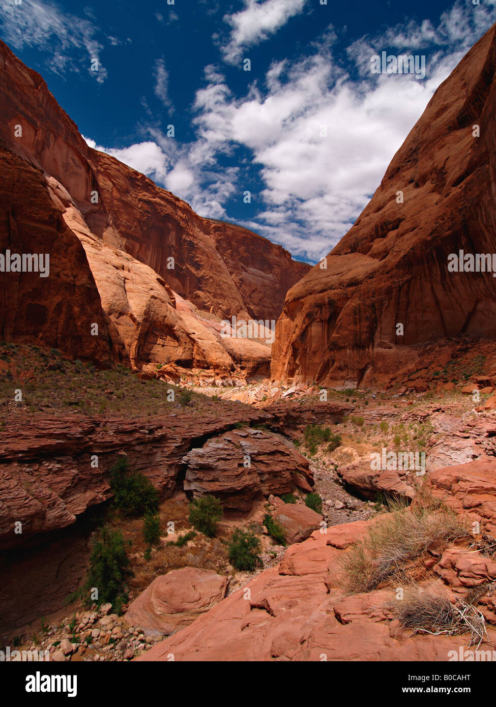 Canyon that opens to Rainbow Bridge Arch in Utah Stock Photo - Alamy