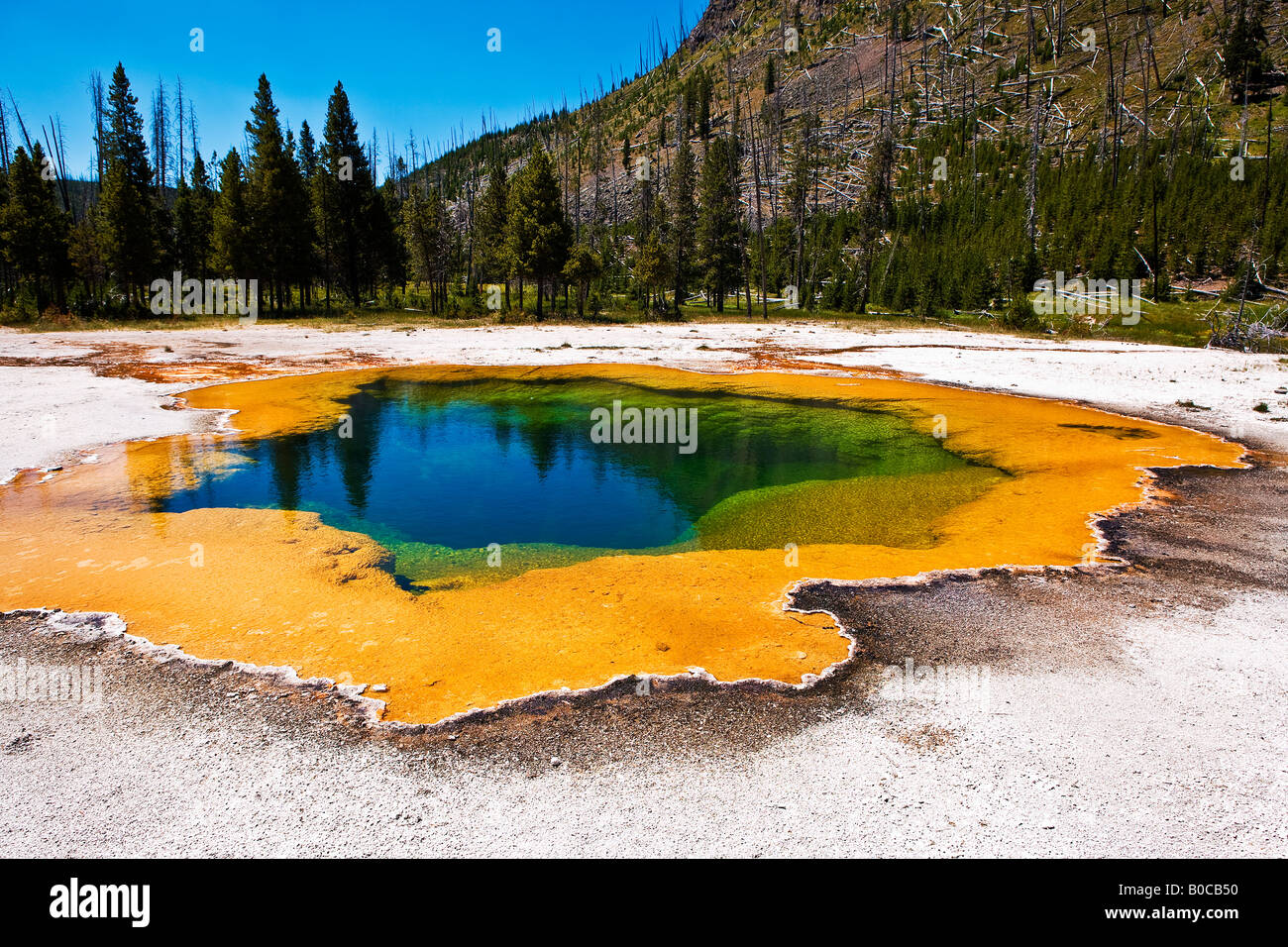 Volatile image hi-res stock photography and images - Alamy