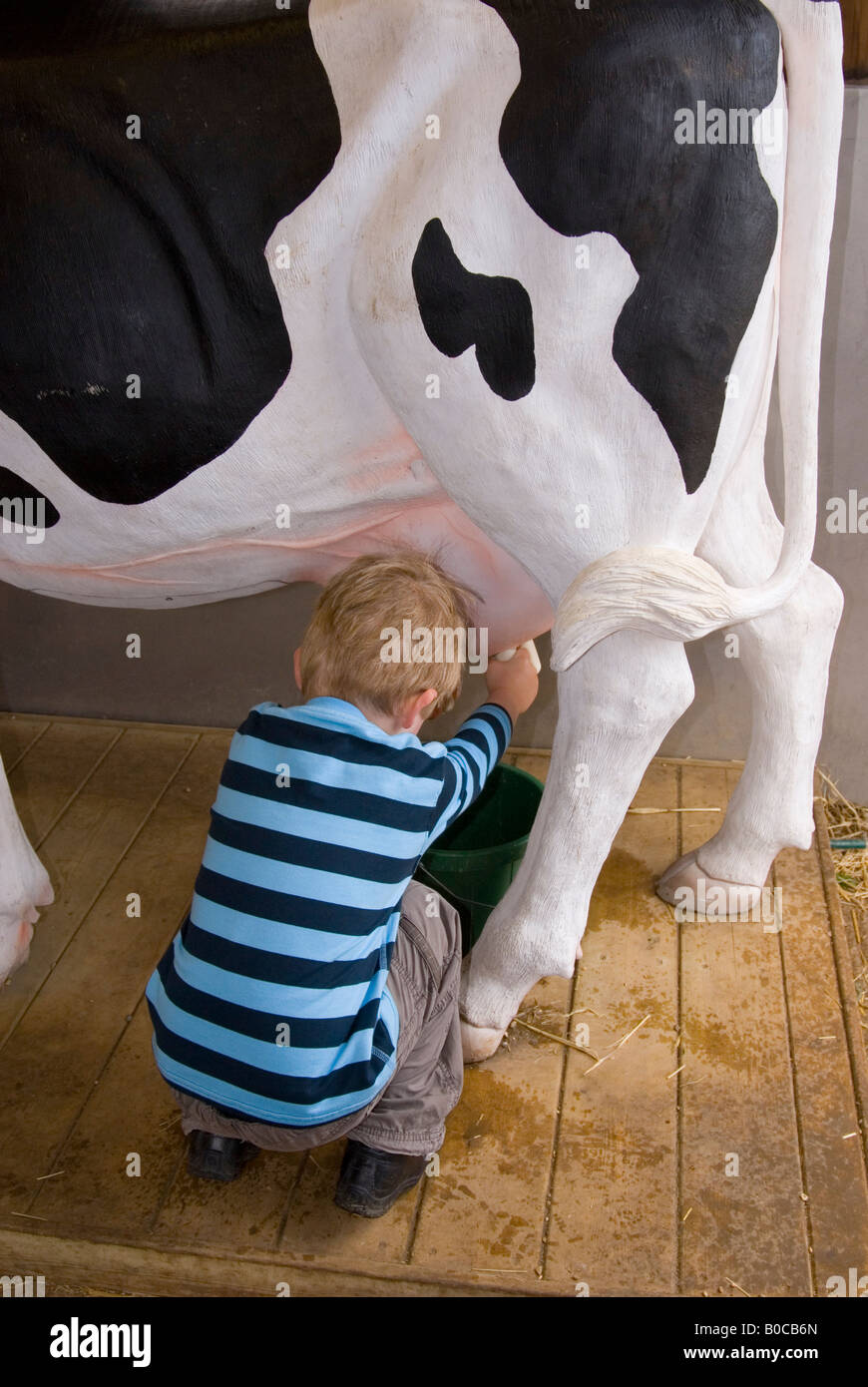 Milking cow boy hi-res stock photography and images - Alamy