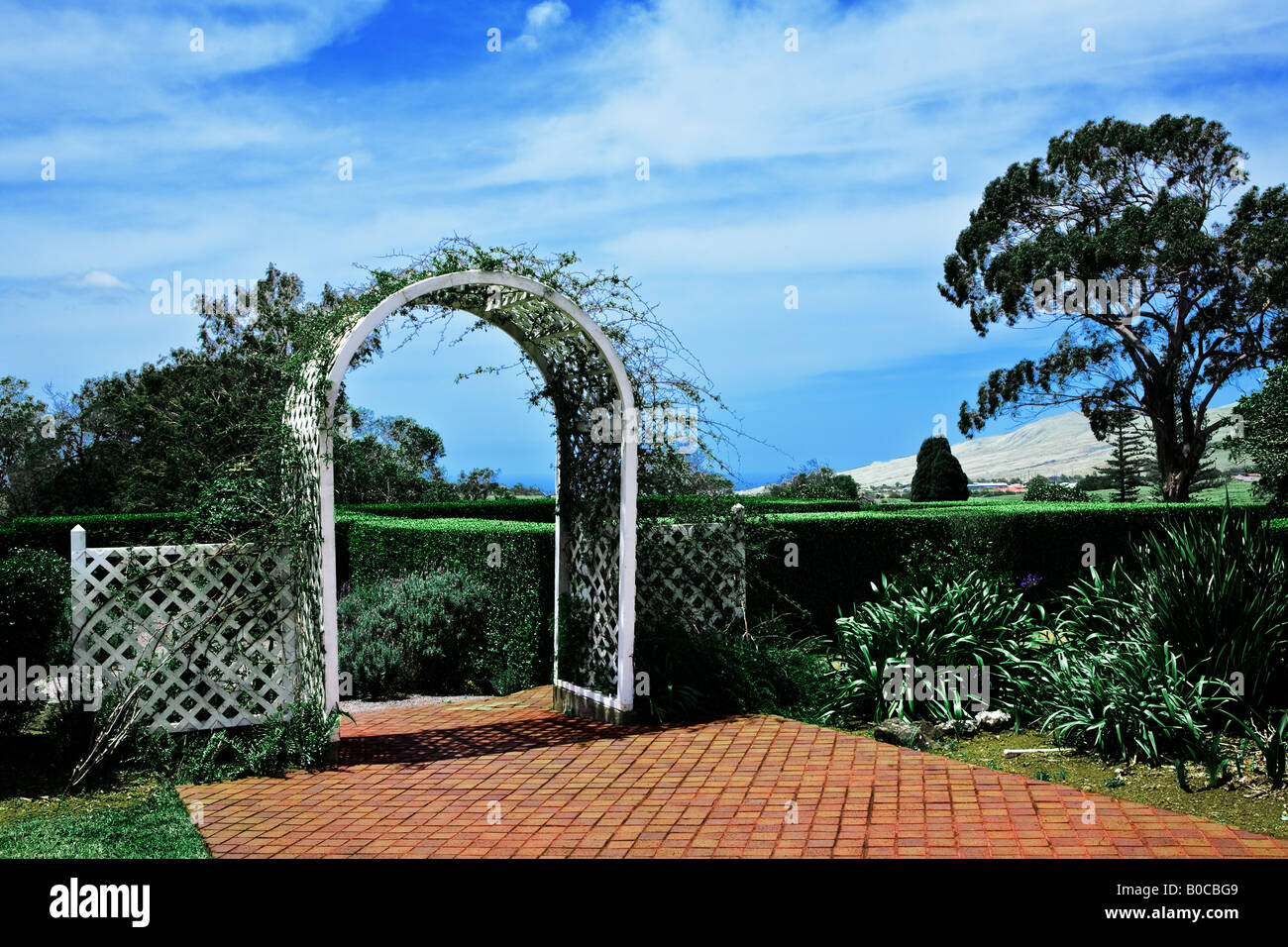 Brick lattice hi-res stock photography and images - Alamy