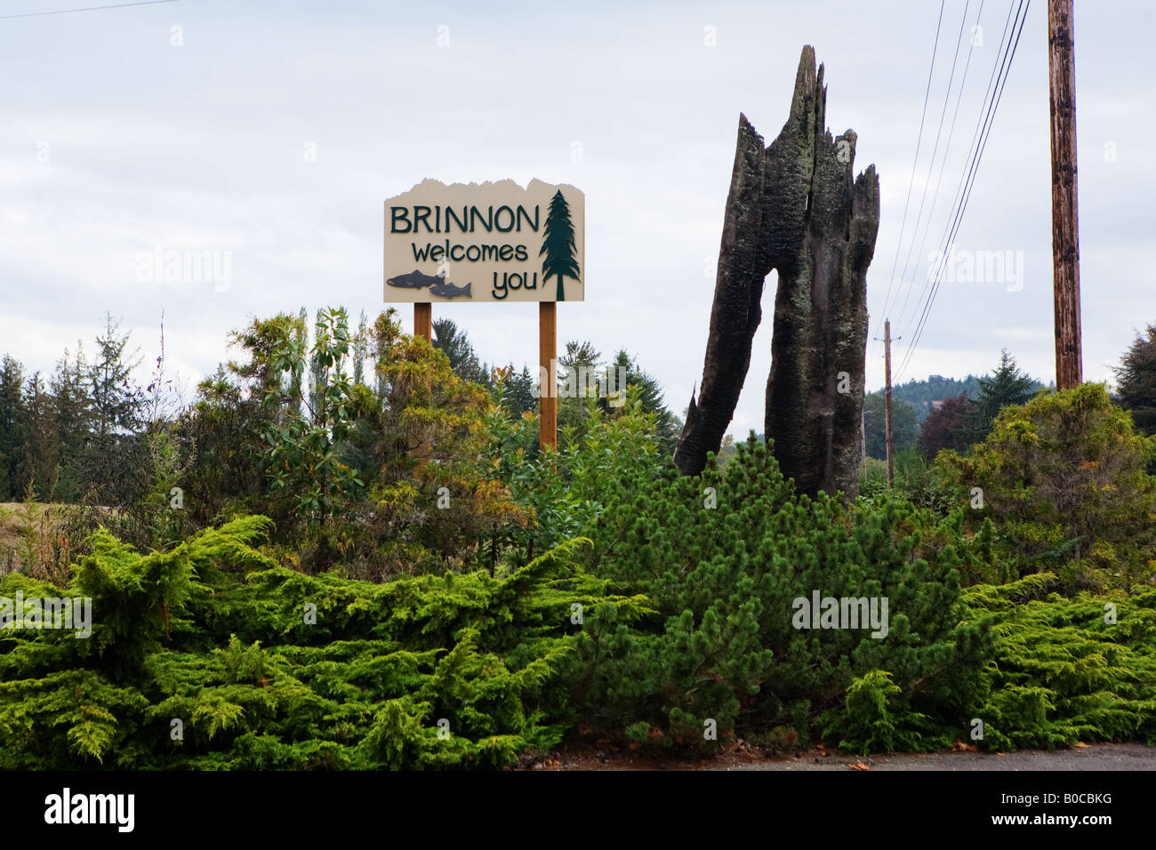 Brinnon hi-res stock photography and images - Alamy