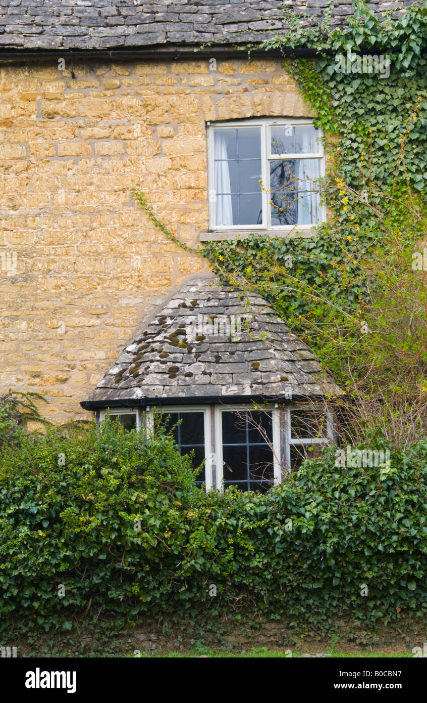 Traditional terraced cottage in Cotswolds England UK bay window and ivy ...