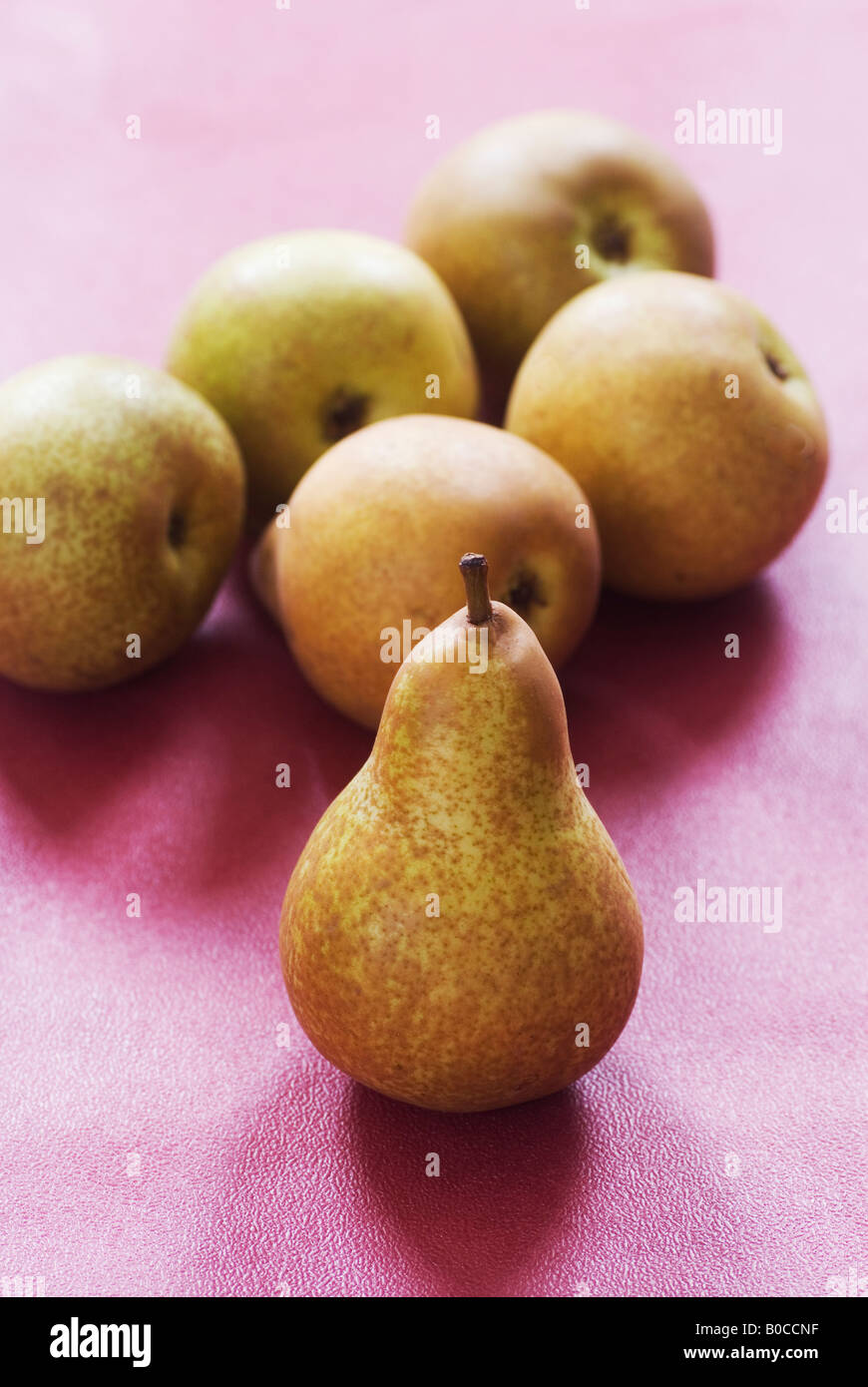 Pera pyrus hi-res stock photography and images - Alamy