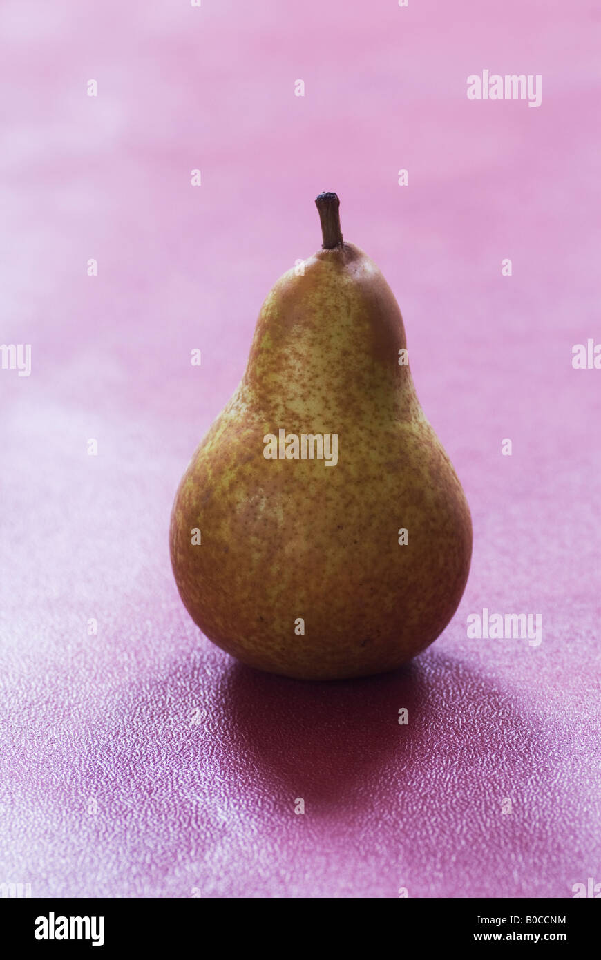 Pear pomaceous fruit Stock Photo - Alamy