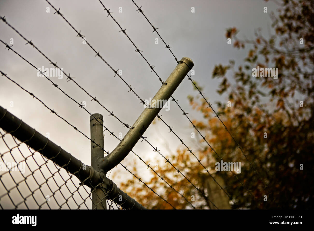 Barbed wire on top of chainlink fence Stock Photo - Alamy