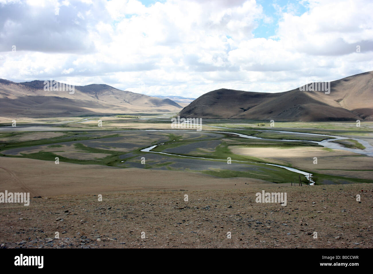 Orkhon river valley, Mongolia Stock Photo - Alamy