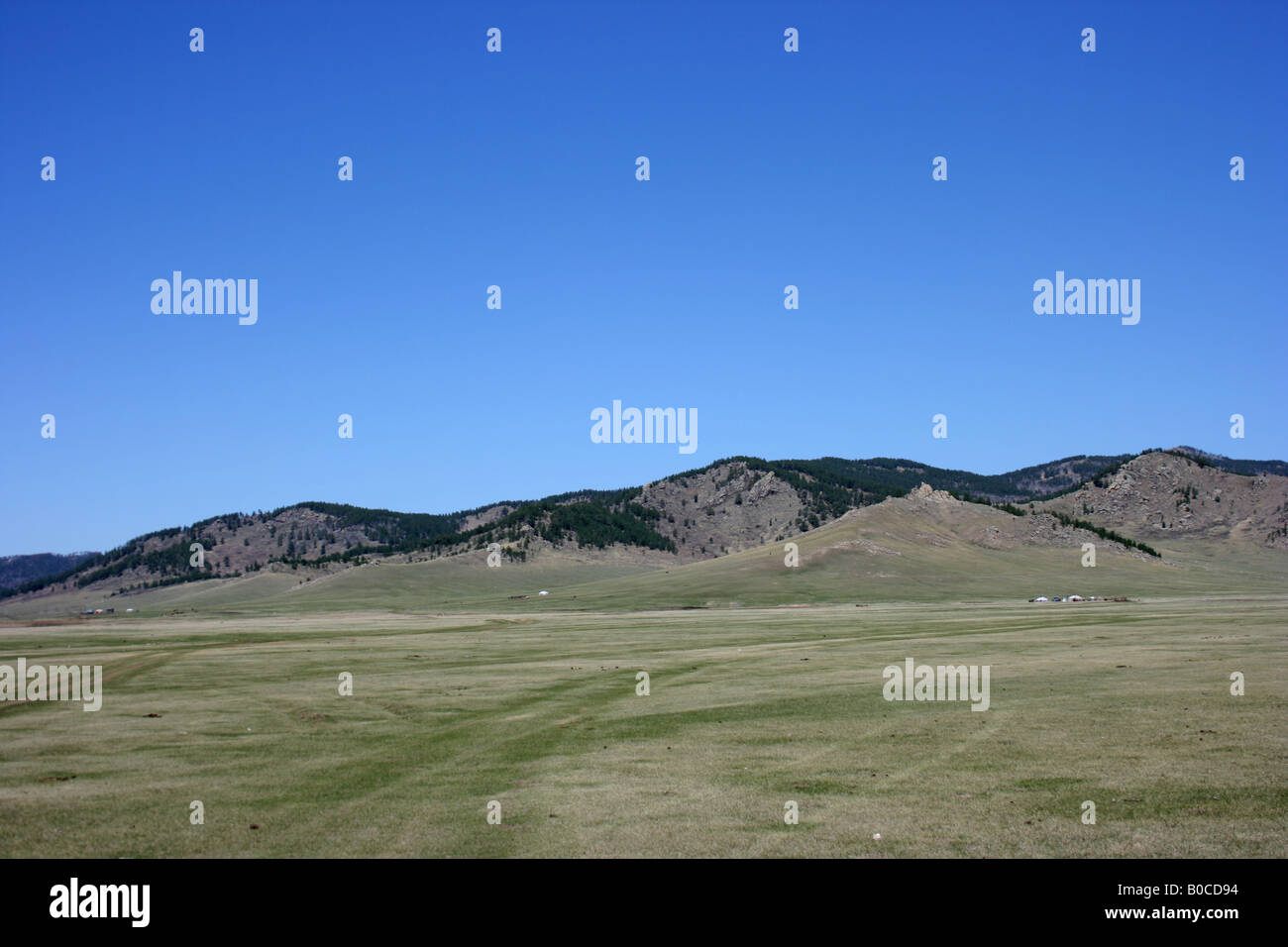 steppe landscape, Mongolia Stock Photo - Alamy