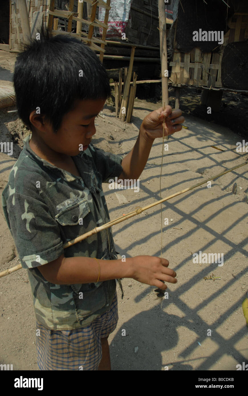 little hilltribe boy catching cicada for food, mae hong son ,thailand ...