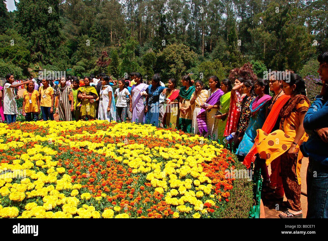 Ooty Botanical Gardens is very popular for its rare varieties of flora ...