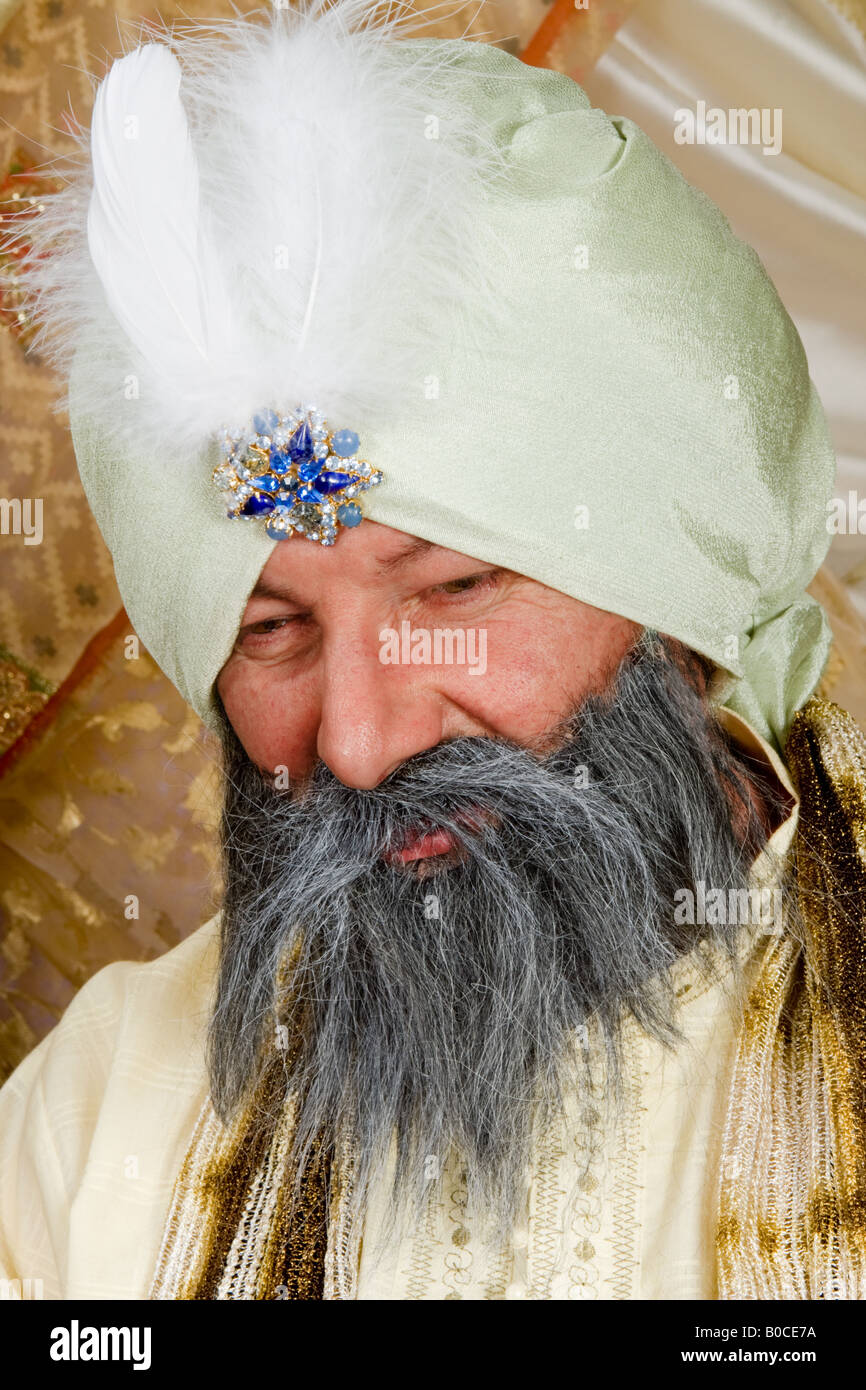 Portrait of a man wearing traditional indian costume and turban Stock ...