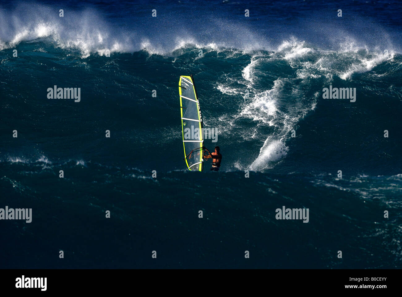 Big wave sailing at Ho'okipa Beach, Maui, Hawaii Stock Photo - Alamy