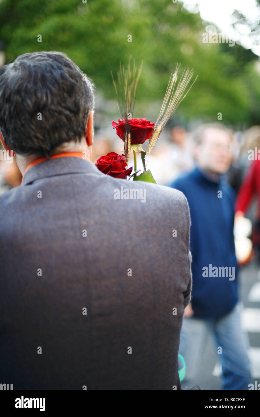 St George's Day (Dia Sant Jordi) in Barcelona, Catalonia, Spain Stock ...