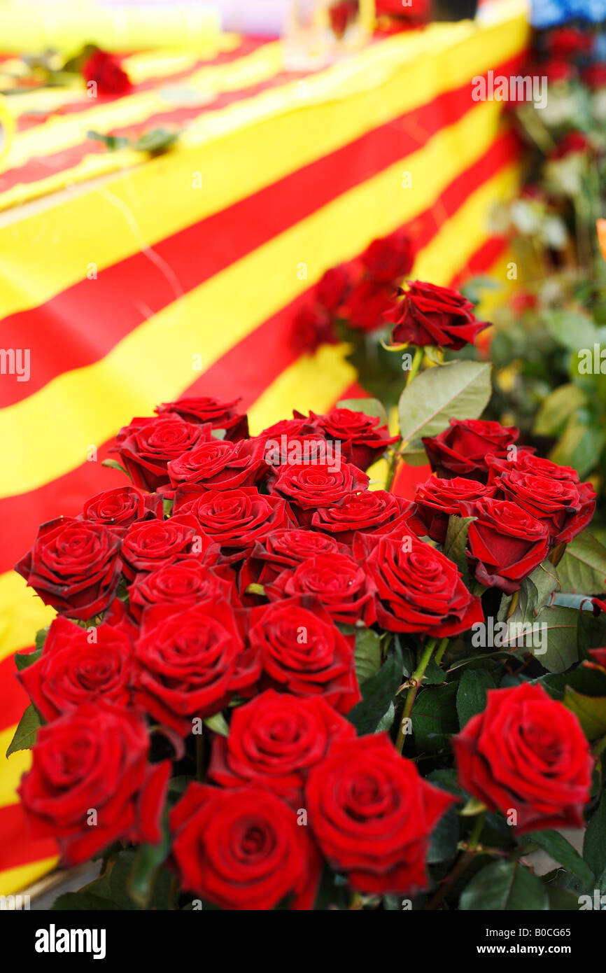 St george flag flowers hi-res stock photography and images - Alamy