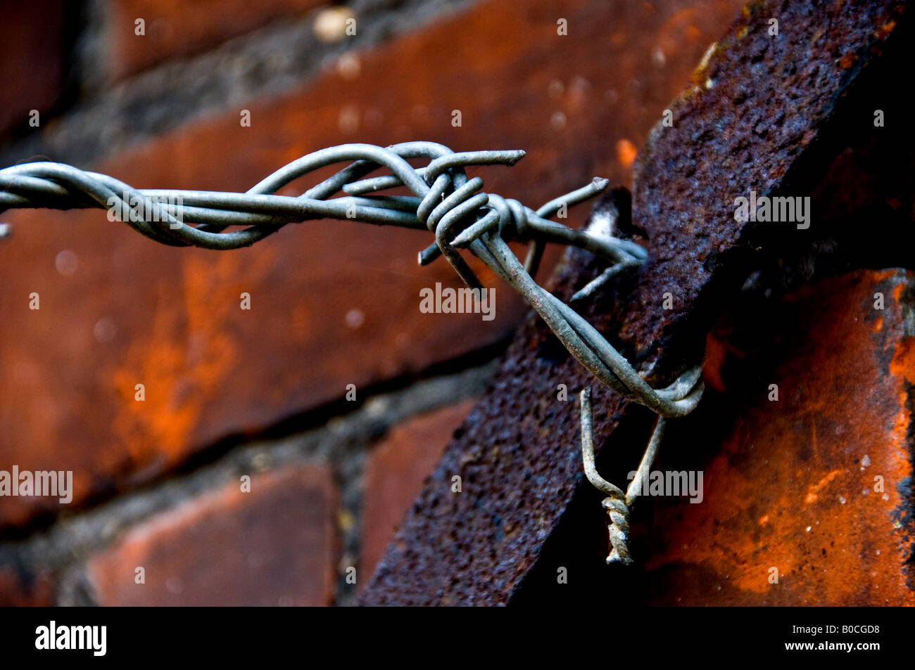 Twisted barbed wire hi-res stock photography and images - Alamy