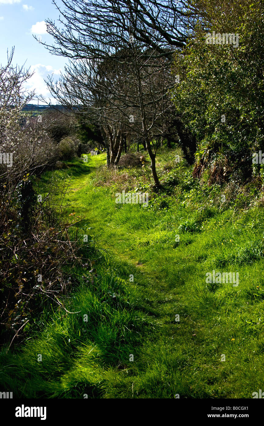 A footpath in Cornish countryside near Lamorna in Cornwall Stock Photo ...