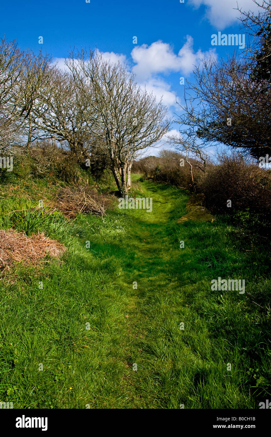 A footpath in Cornish countryside near Lamorna in Cornwall Stock Photo ...