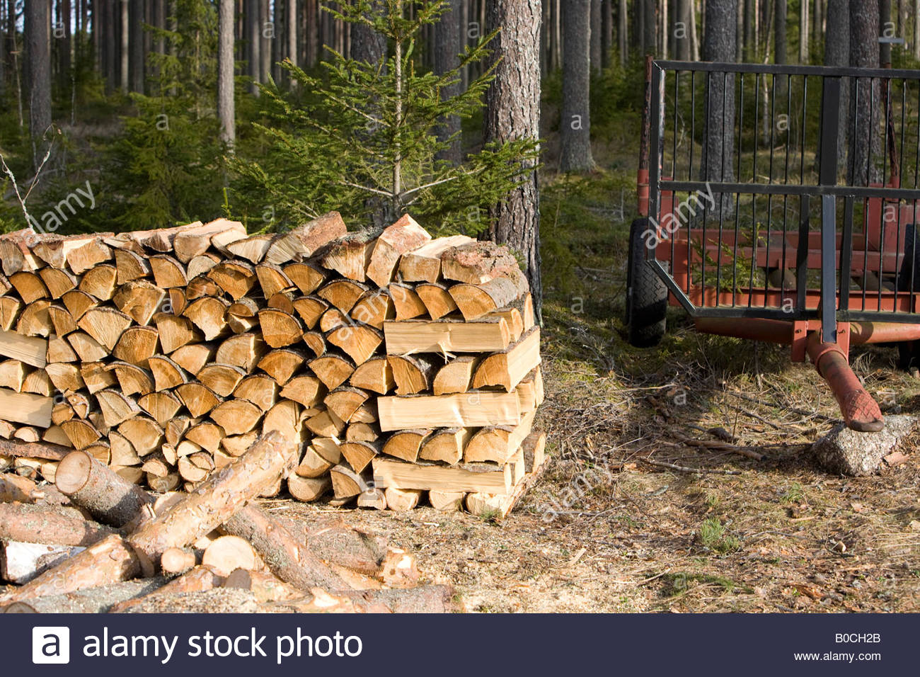 Drying Timber Stock Photos & Drying Timber Stock Images - Alamy