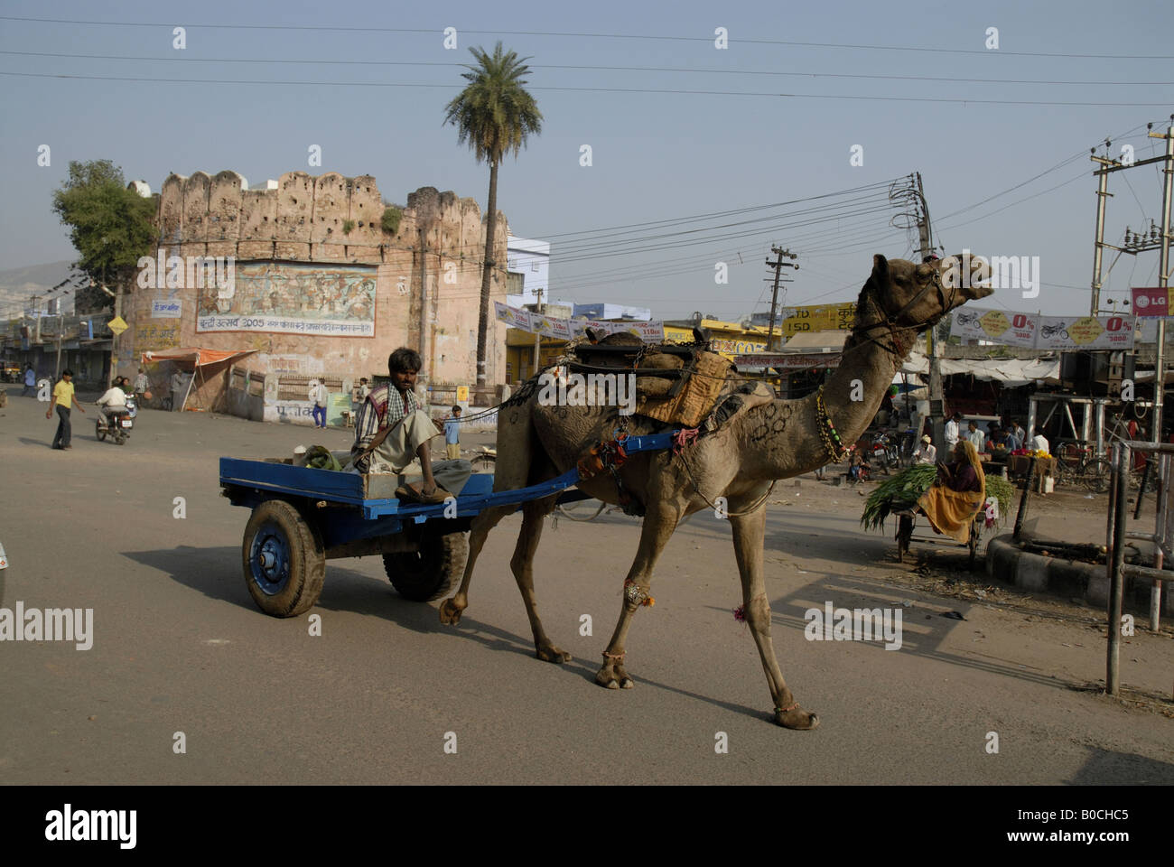 Camel pulling cart. Bundi Rajasthan India Stock Photo - Alamy