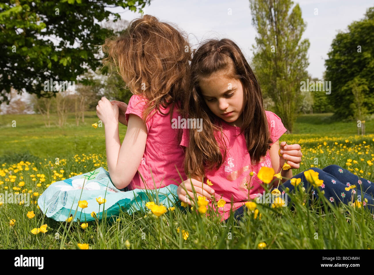 children playing with buttercups Stock Photo - Alamy