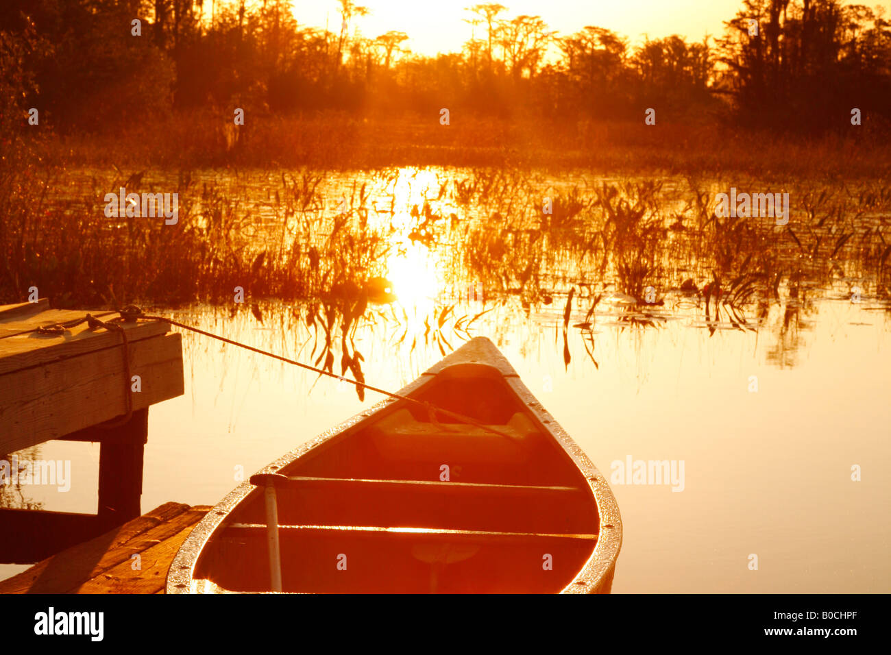 Canoe at Round Top Shelter at sunrise, Chase Prairie, Okefenokee Swamp ...