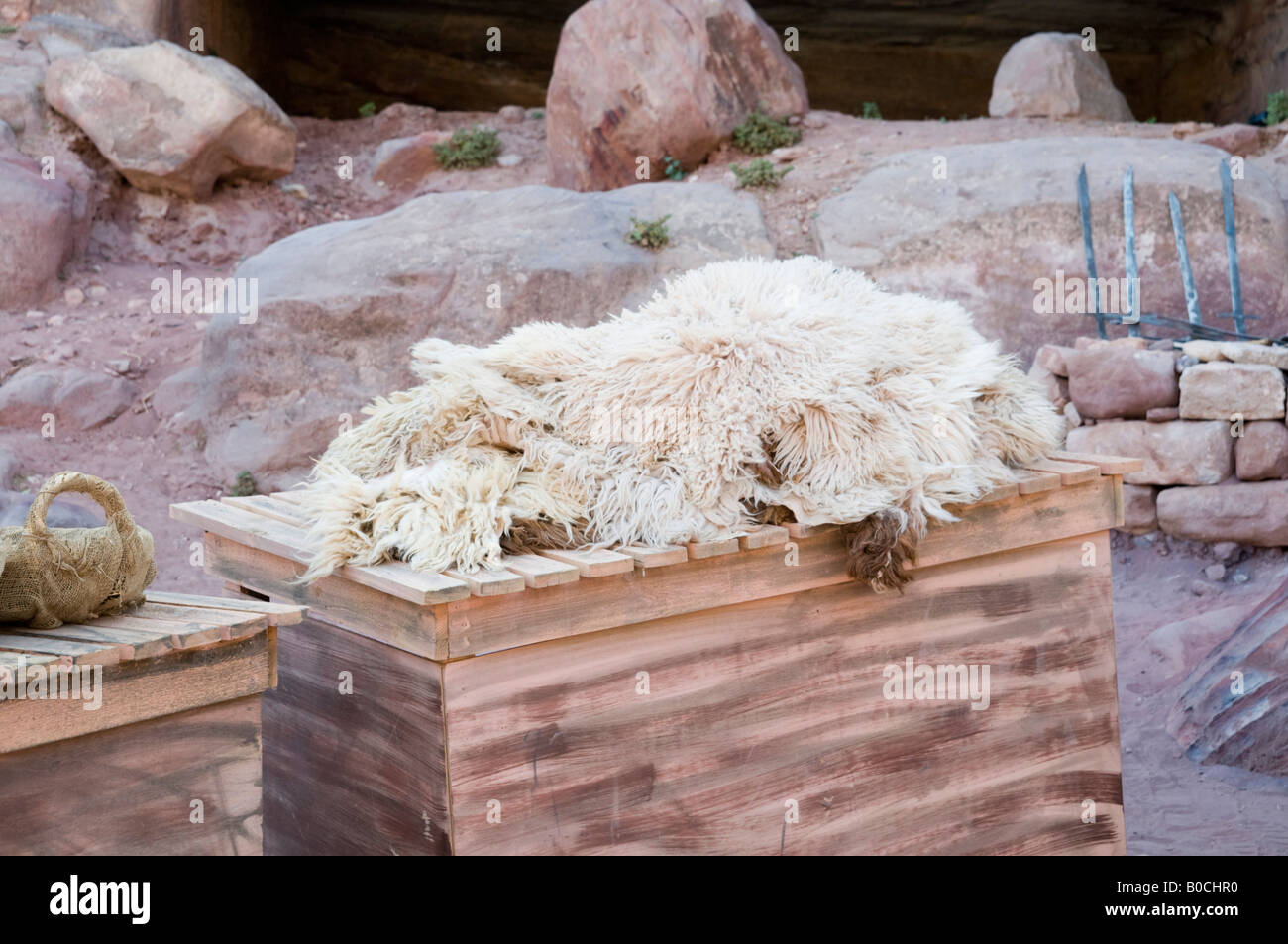 Middle East Jordan Petra UNESCO World Heritage Site a display of Sheep ...