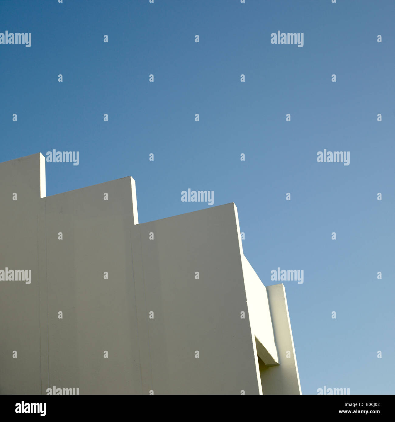 Long lasting plan hi-res stock photography and images - Alamy