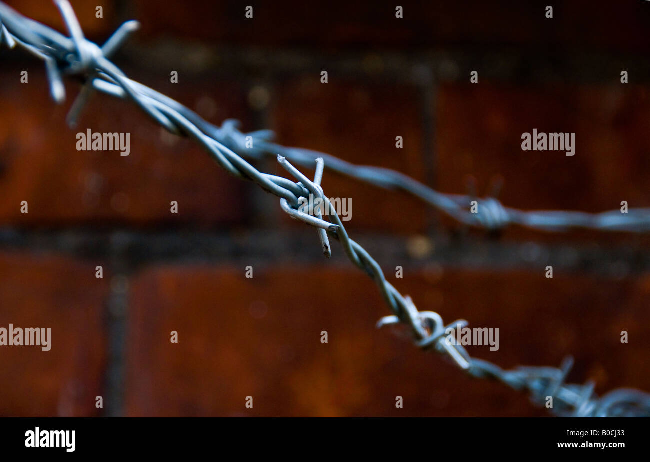 Strands of barbed wire Stock Photo - Alamy