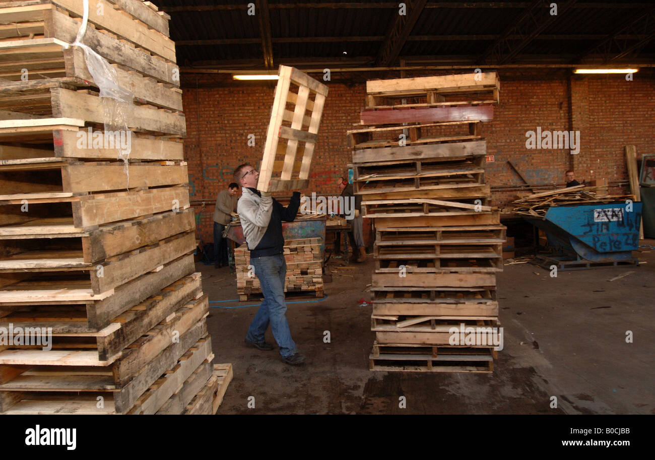 Manufacturing and distribution of wooden pallets Stock Photo - Alamy