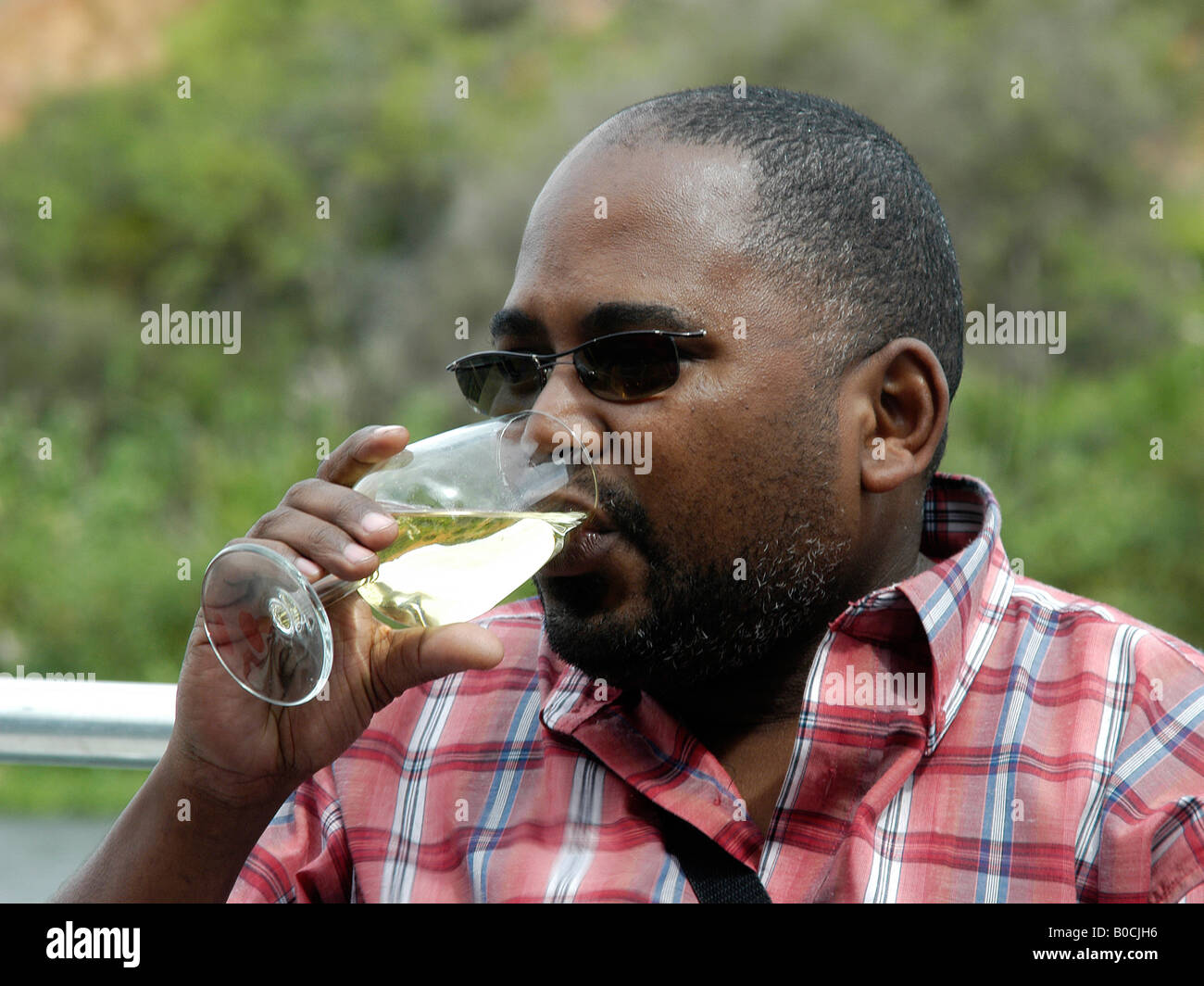 Drinking white wine outside hi-res stock photography and images - Alamy