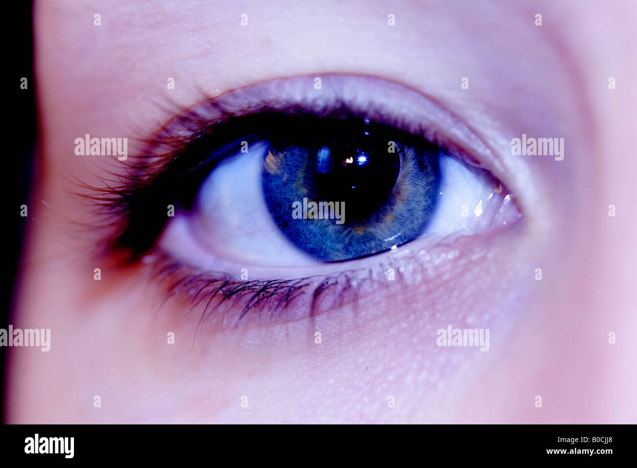 Human eye close up Stock Photo - Alamy