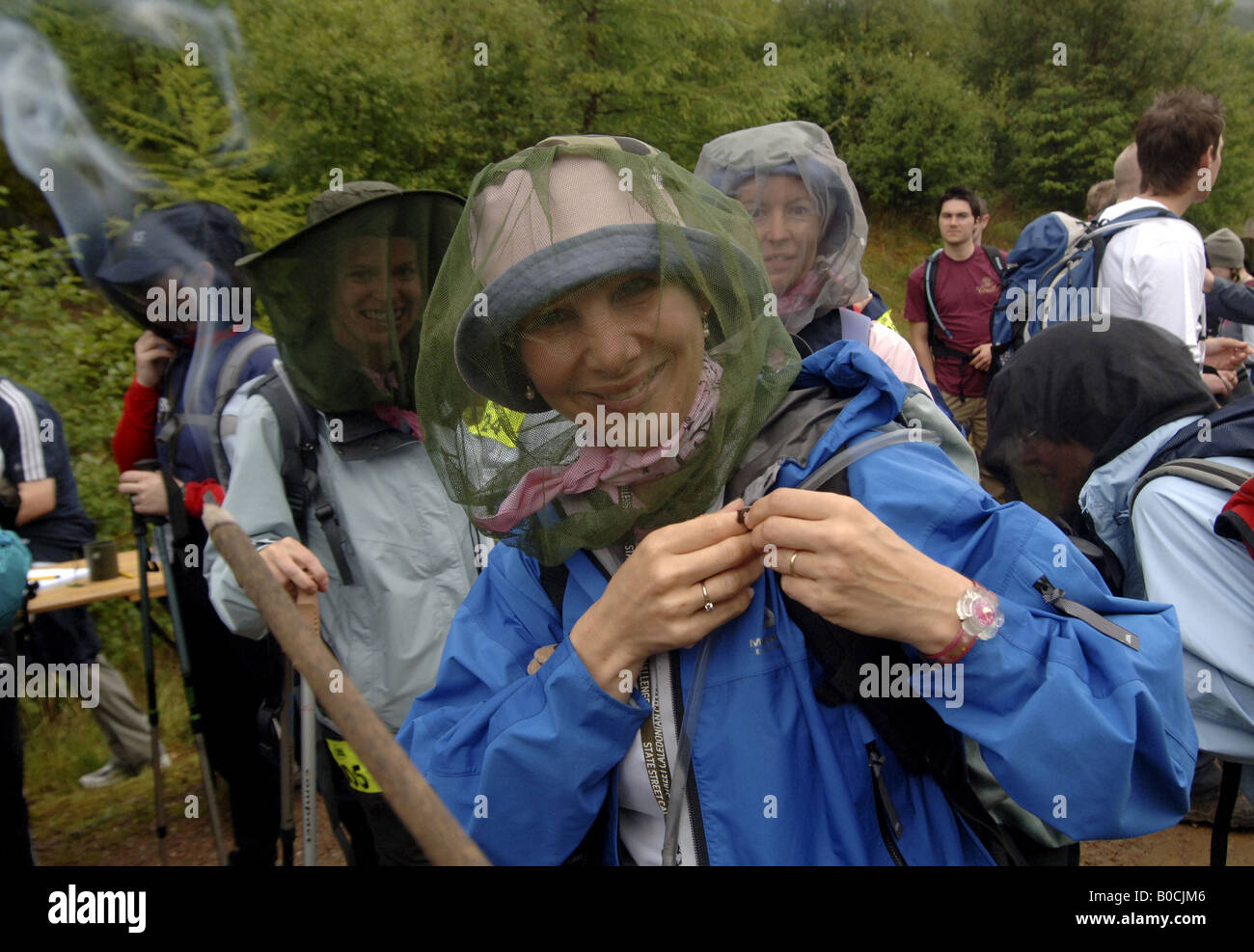 Midge hi-res stock photography and images - Alamy