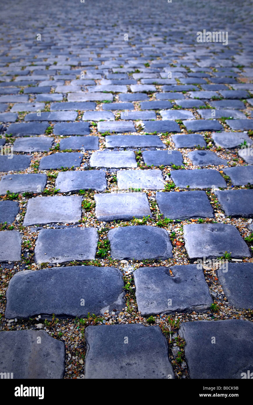 Background of cobblestone pavement with light reflection Stock Photo ...